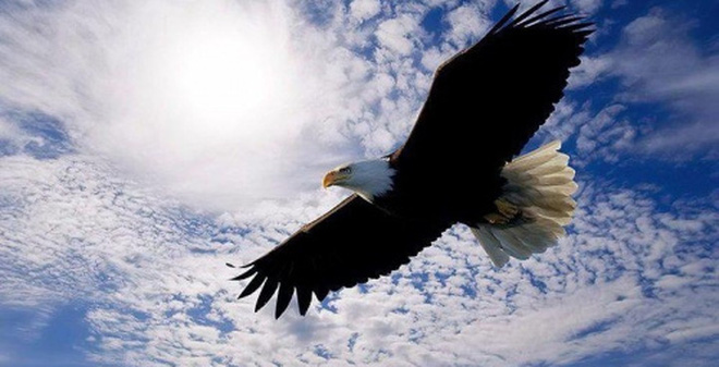 150 NGÀY LỘT XÁC CỦA ĐẠI BÀNG